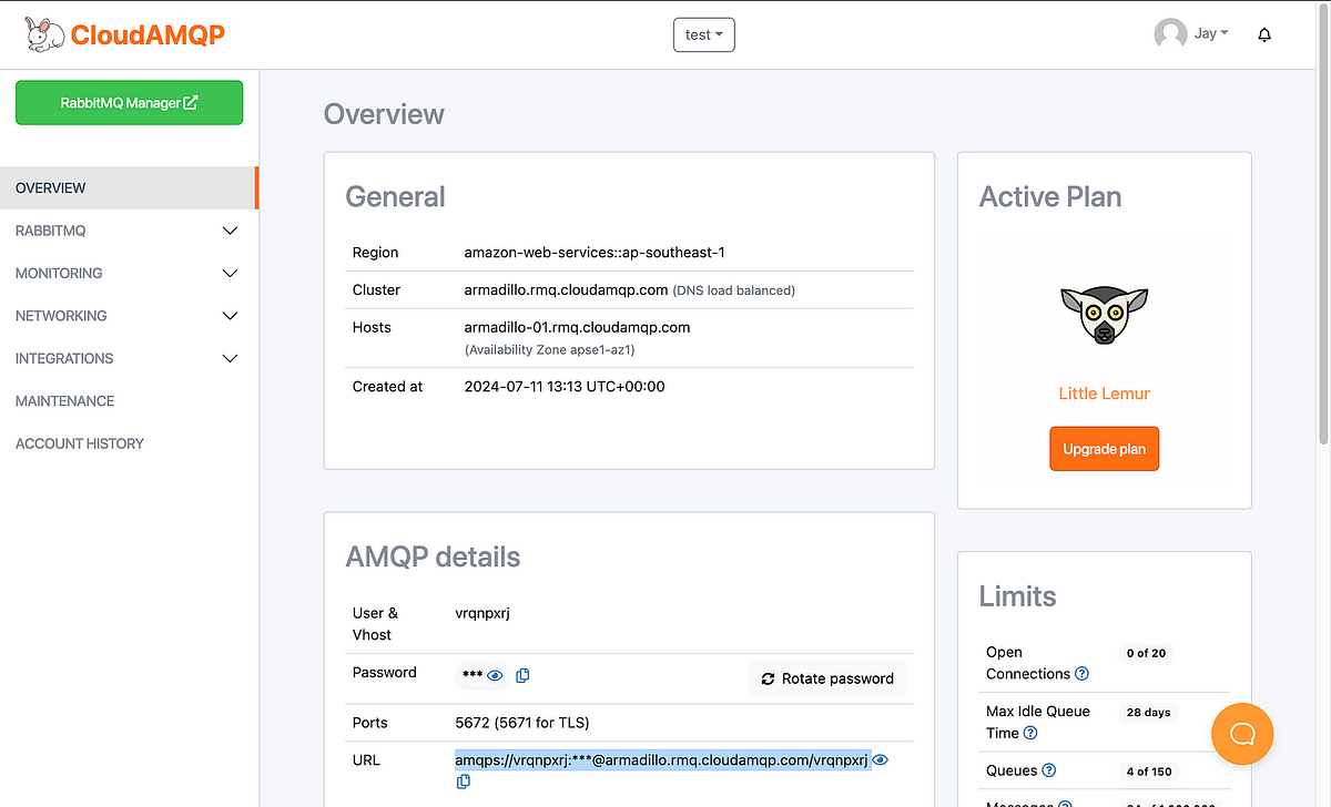 Implementing Microservices with NestJS and RabbitMQ: A Step-by-Step Guide | by Jay Jethava | Sep ...