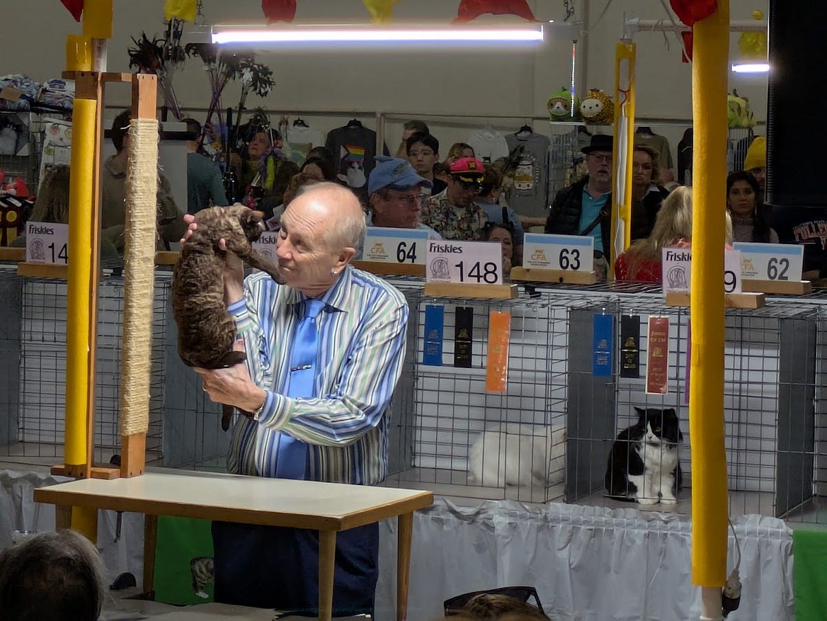 I Attended the San Diego Cat Show 2025-Here Are Some Highlights. | by Toby Davis | Medium