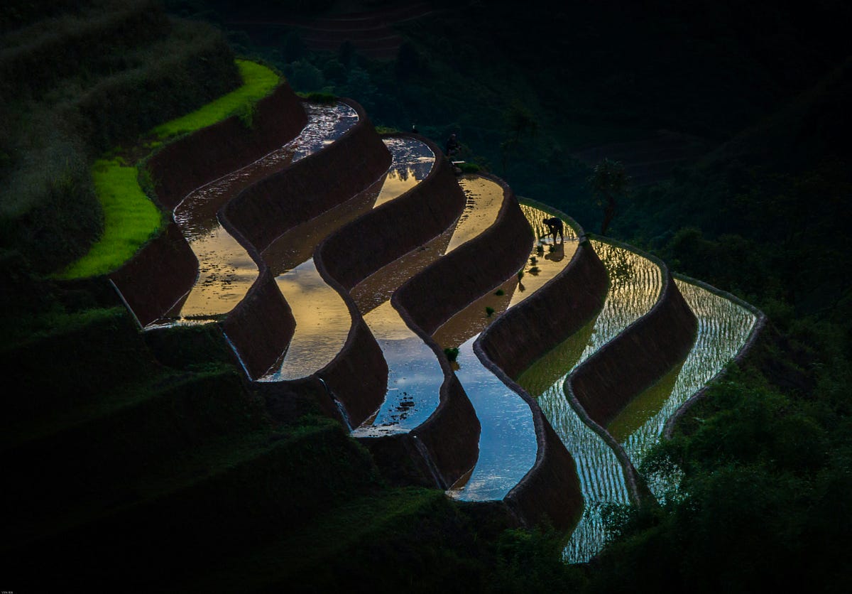 Revolutionizing Digital Asset Management with a Thin AI Layer | by ...