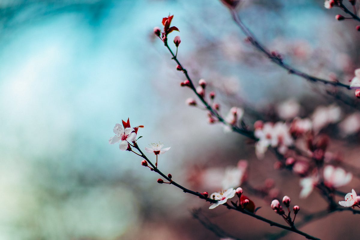 To Move Forward, Distance, Disconnect and Detach Yourself | by Grace ...