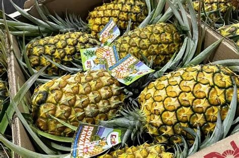 Review 7 Amazing Oahu Farm Tours: A Unique Taste of Hawaii | by ...