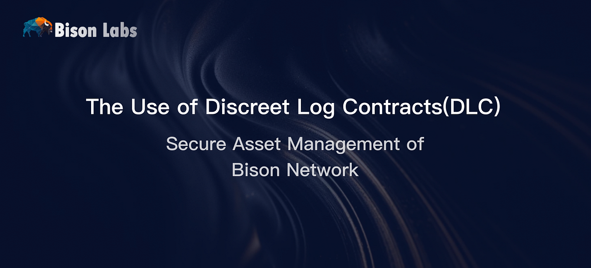 Secure Asset Management of Bison Network: The Use of Discreet Log ...