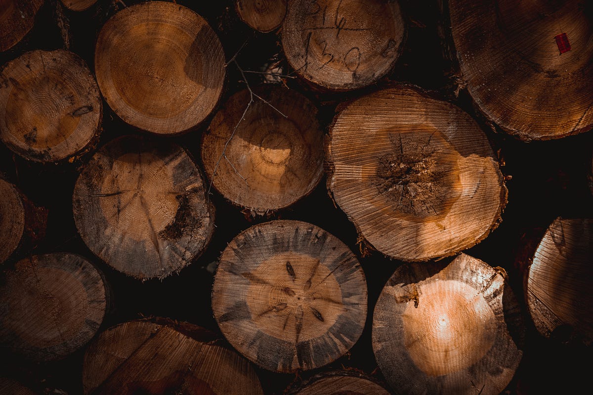 Optimizing Logging Operations with AI: The Path to a Sustainable ...