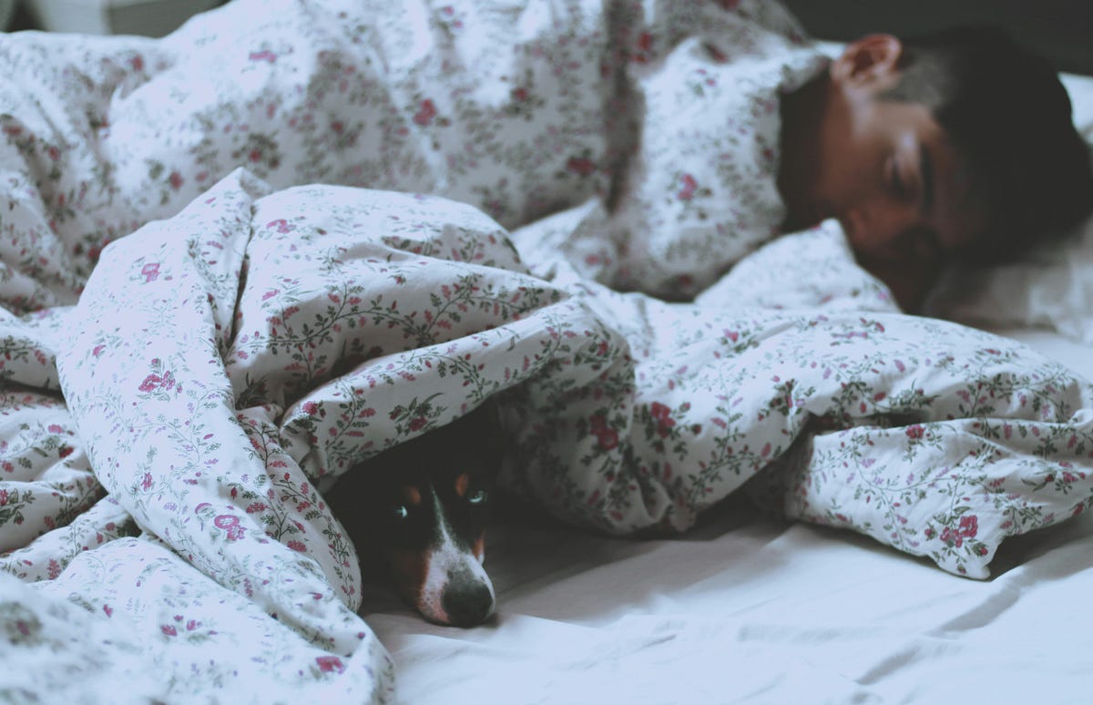 The importance of Sleep.. Missing one night of sleep messes with… | by ...