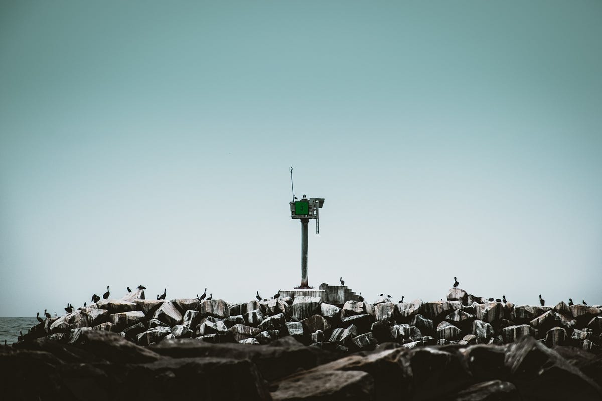 10 Ingenious Products for Bird Control - BG Bird Control Group | Medium