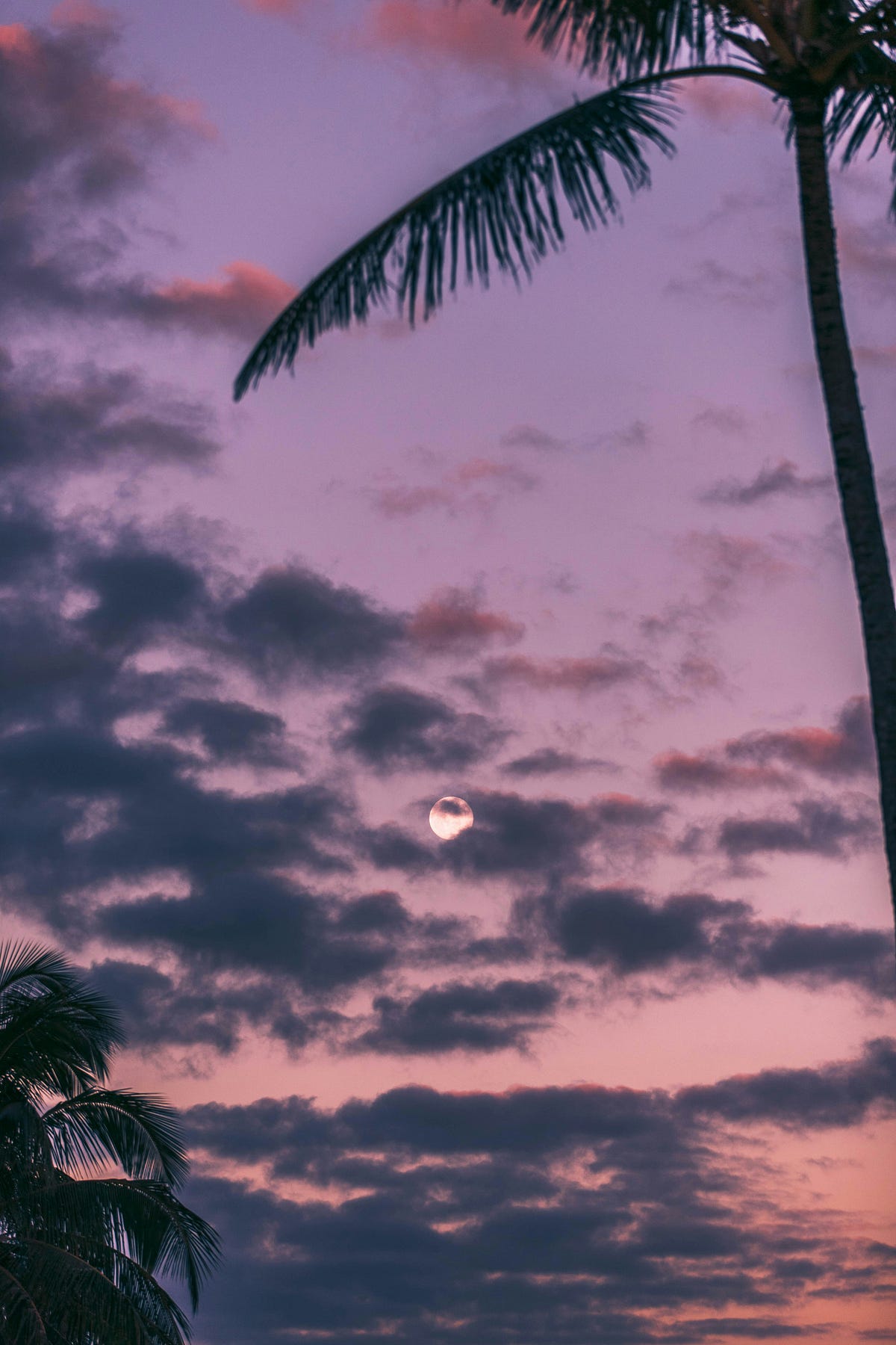 She guessed my favorite color.. How funny, color makes me fell in love. | by Rafly | Medium