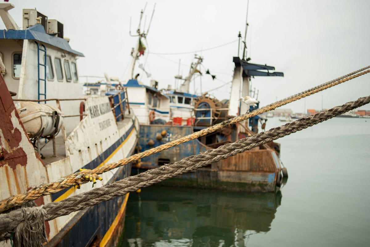 The Natural Resource Curse: Why Congo’s Riches Keep It Poor | by John ...