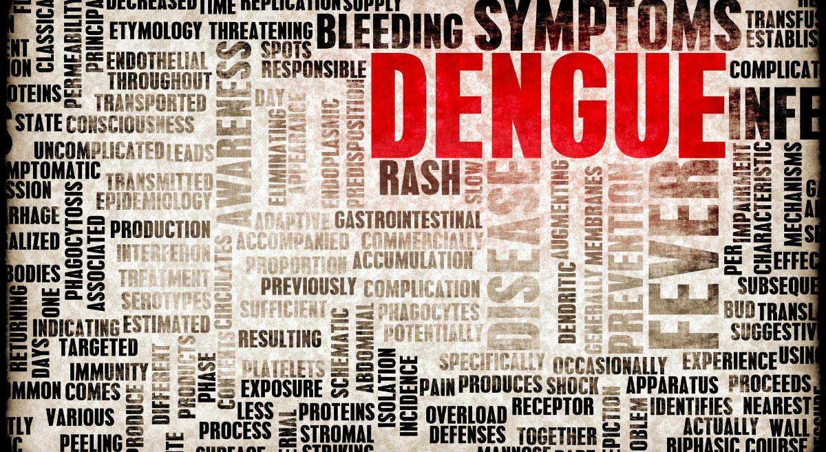 Crucial Steps in Dengue Prevention: A Comprehensive Guide | by ...