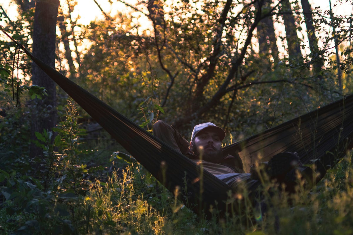 Lessons from Into the Wild, What True Freedom Really Means | by Ned ...