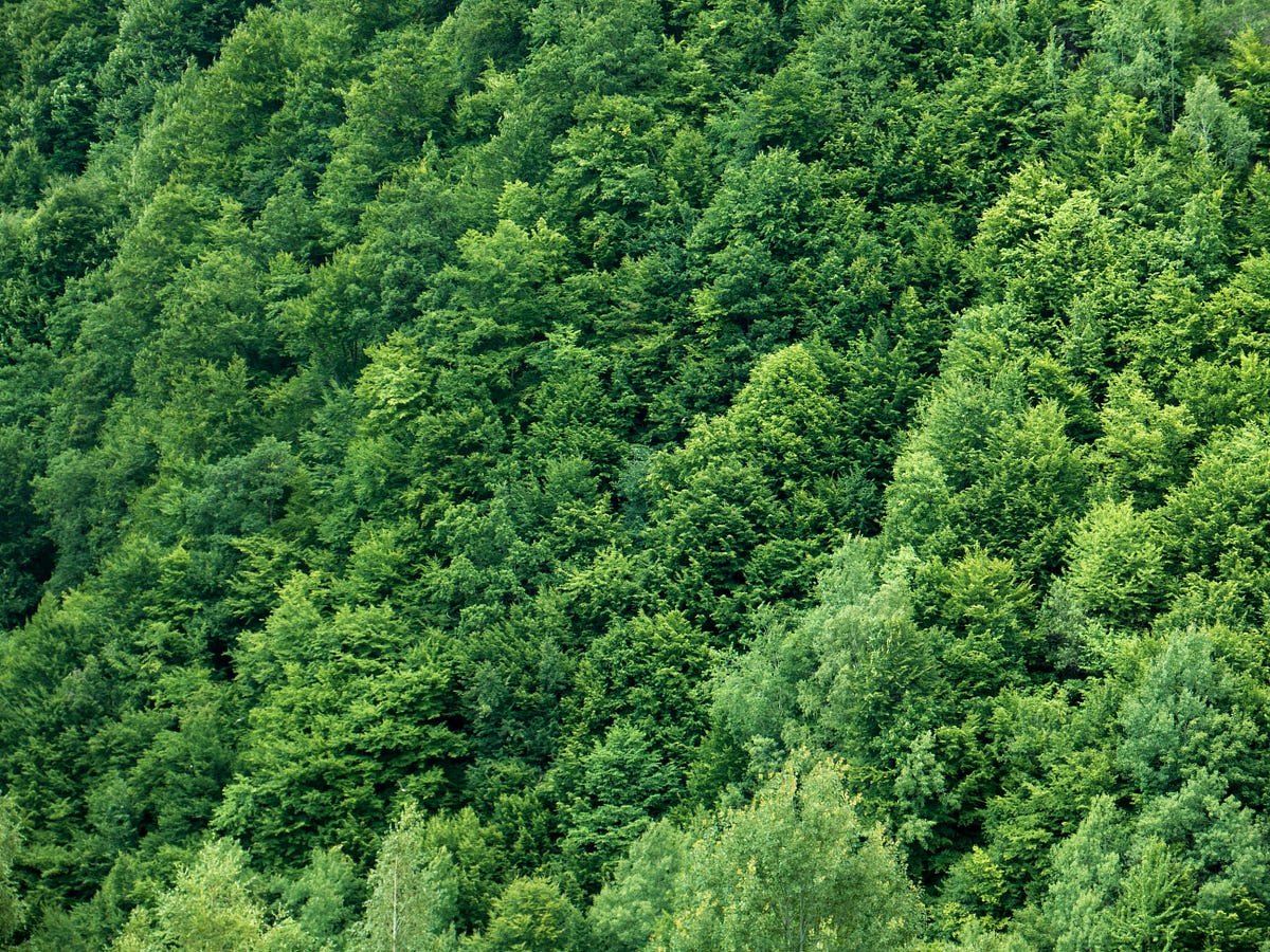 AWS CDK: Simplifying Infrastructure as Code with Programming Power | by Charles Wan | Medium