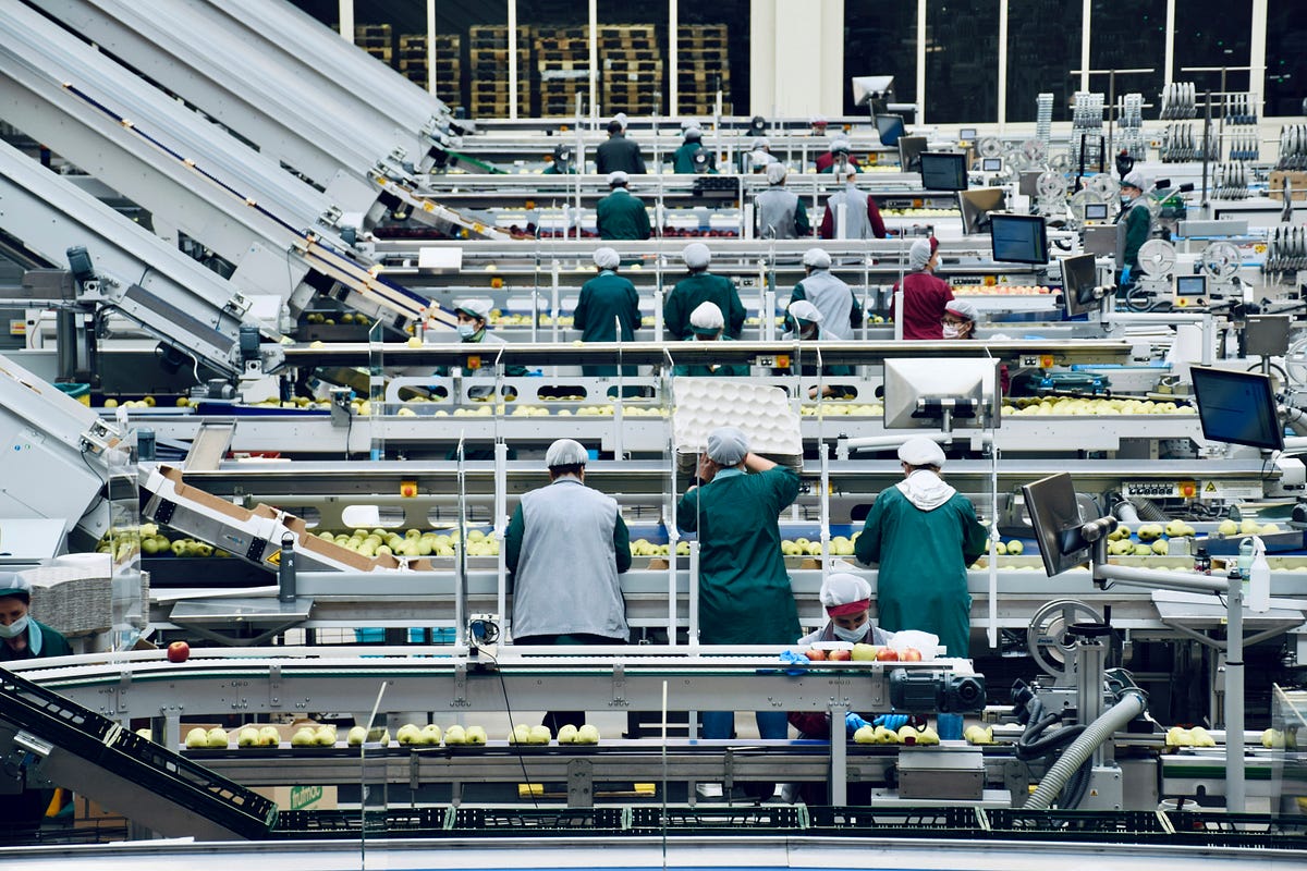 What is Labor Day, Really?. Labor Day might be over, but we can… | by ...