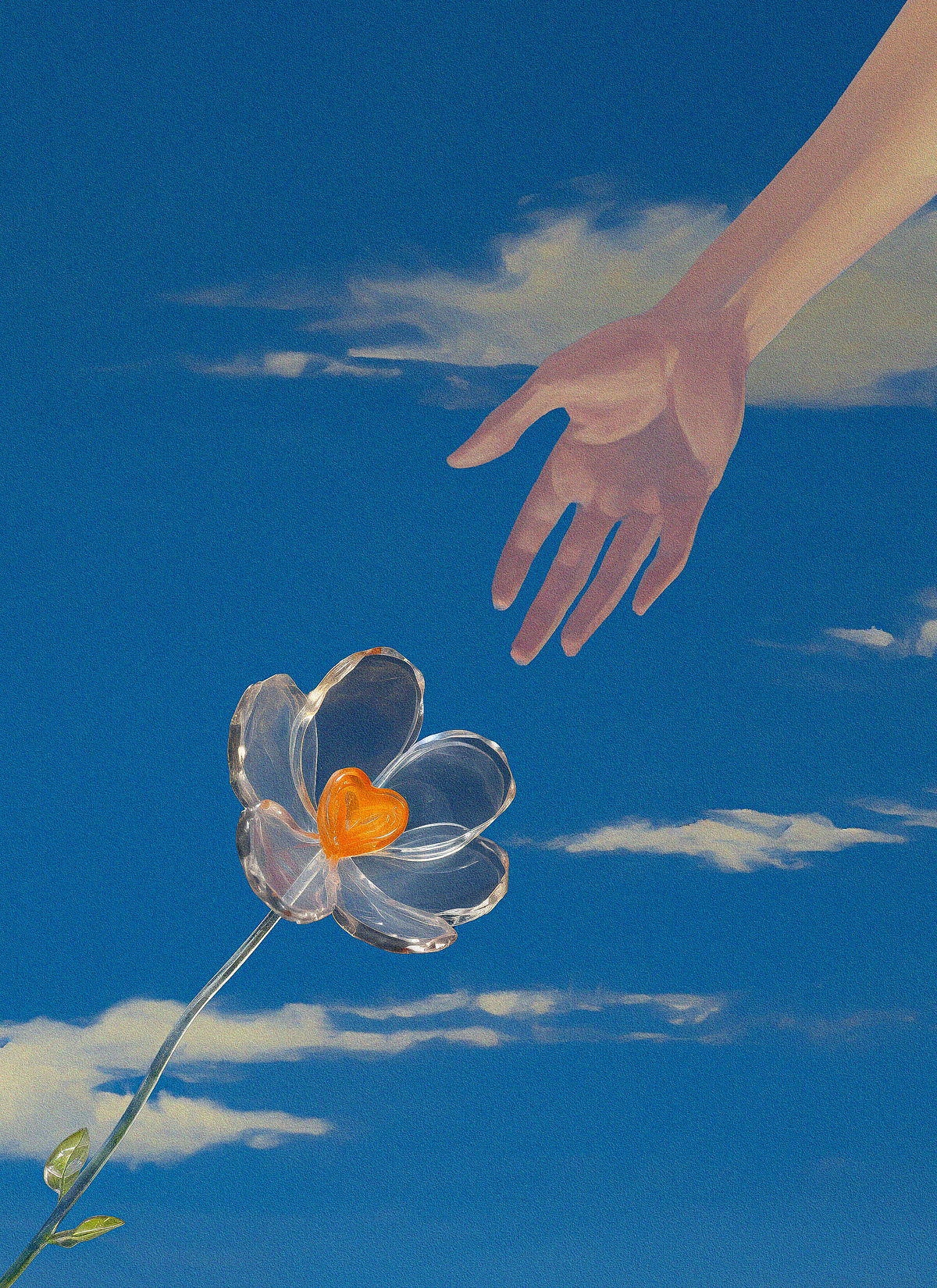 Blank Embrace’s ‘Delicate Feelings’: A Symphony of Nature and Emotion ...