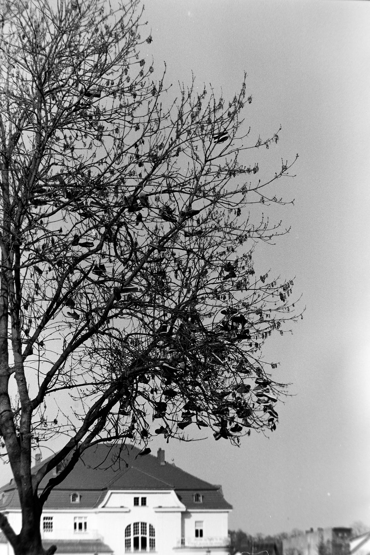 The Poetry of Grey - Loose Words - Medium