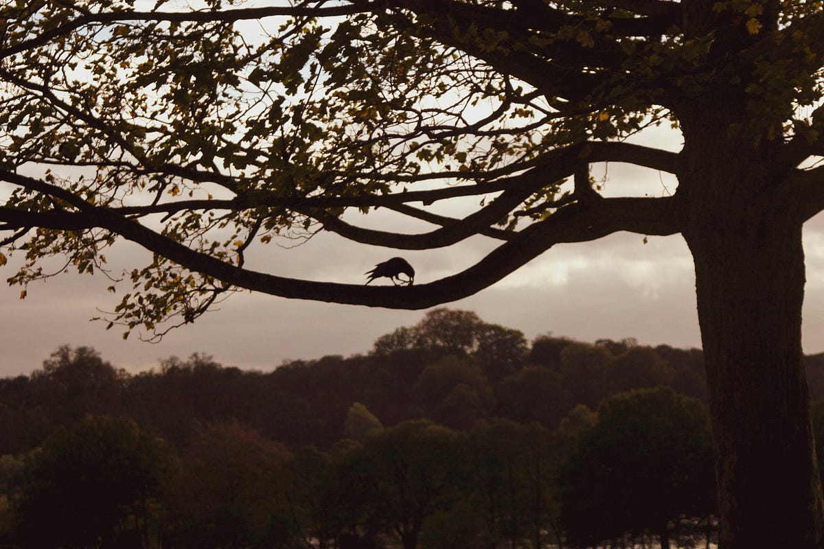 Every creature is really God driven, except man. | by Dr.Govind., Ph.D ...