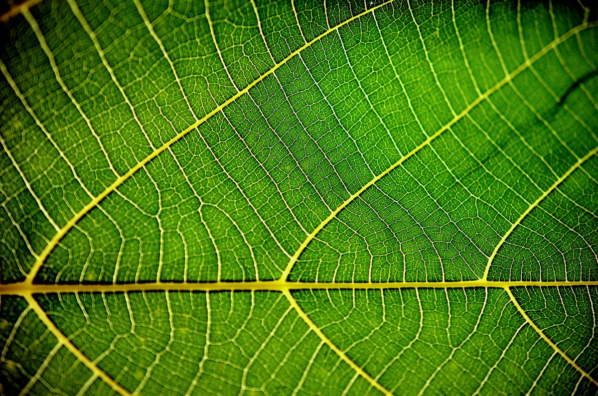 SAP Analytics Cloud — SAP Ariba Data Connections | by Tuncay Karaca | Medium