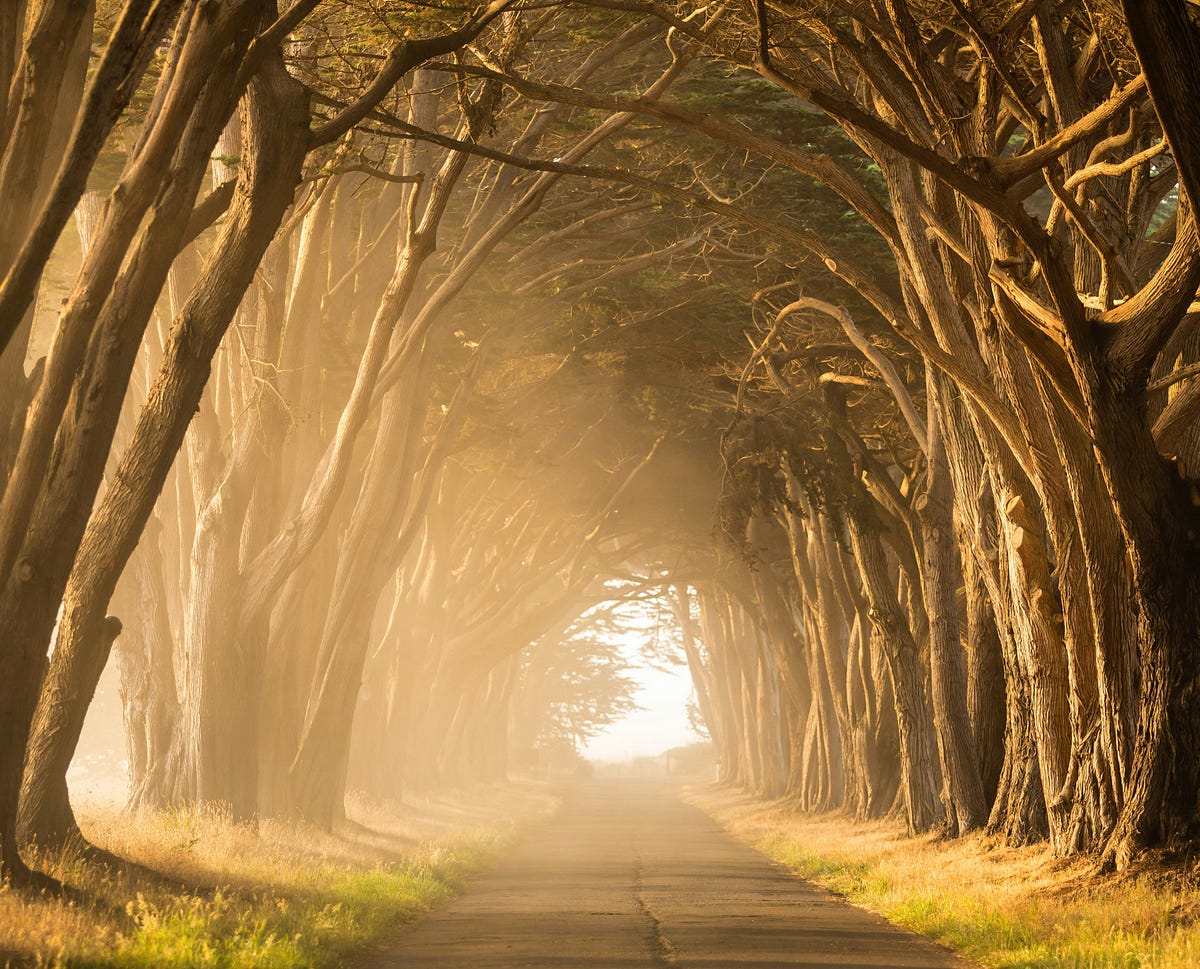 The Path To Safety Within. Creating genuine safety through your… | by ...