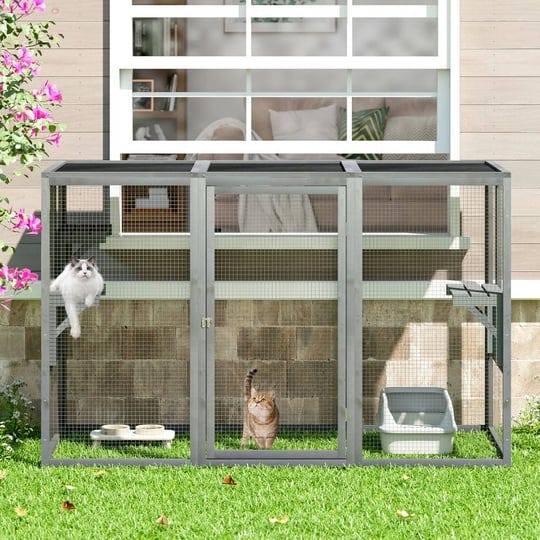 Cat Pens | by Jeremy Brown | Jun, 2024 | Medium