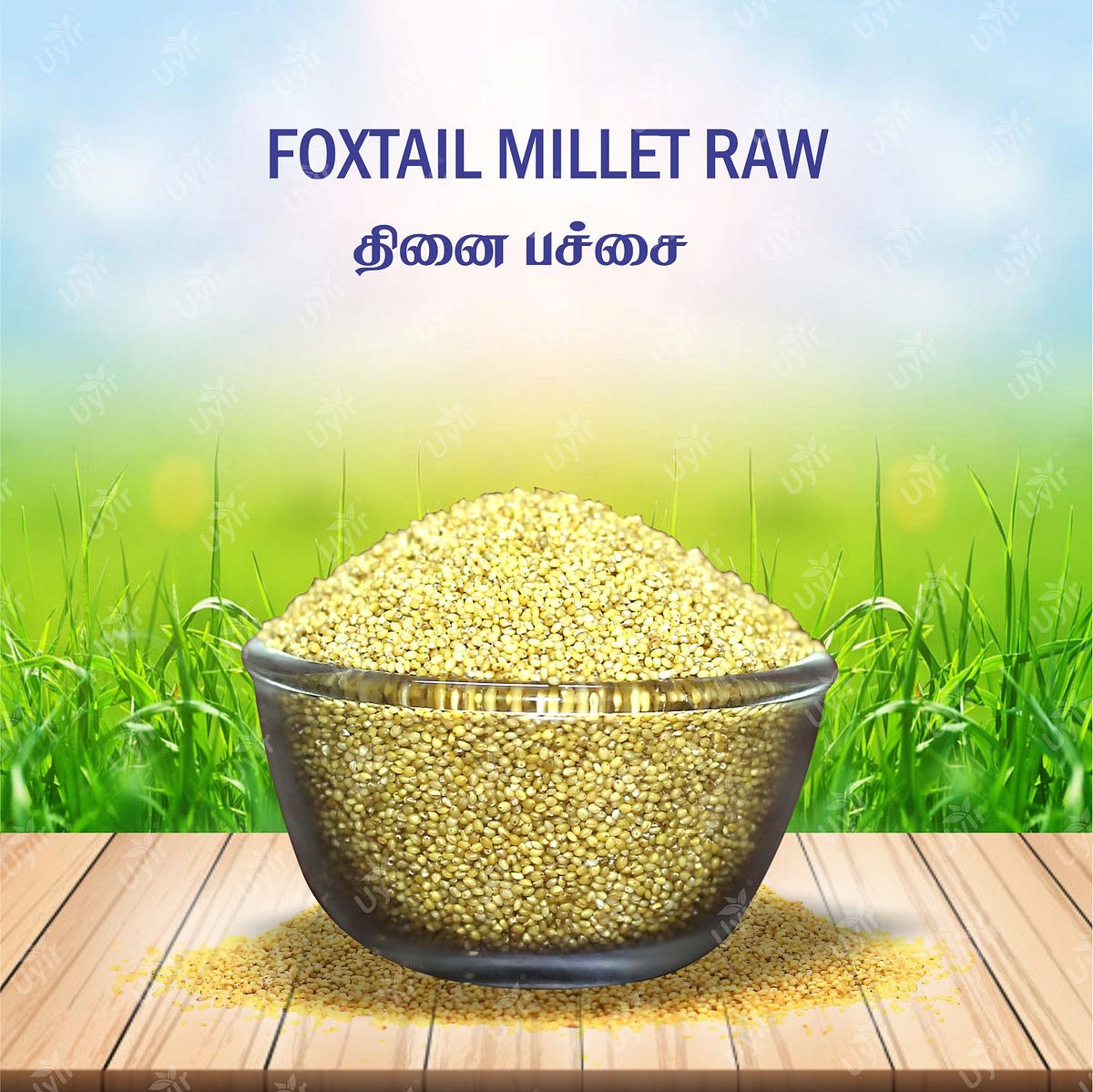தினை (Thinai / Foxtail millet) - Uyir Organic - Medium