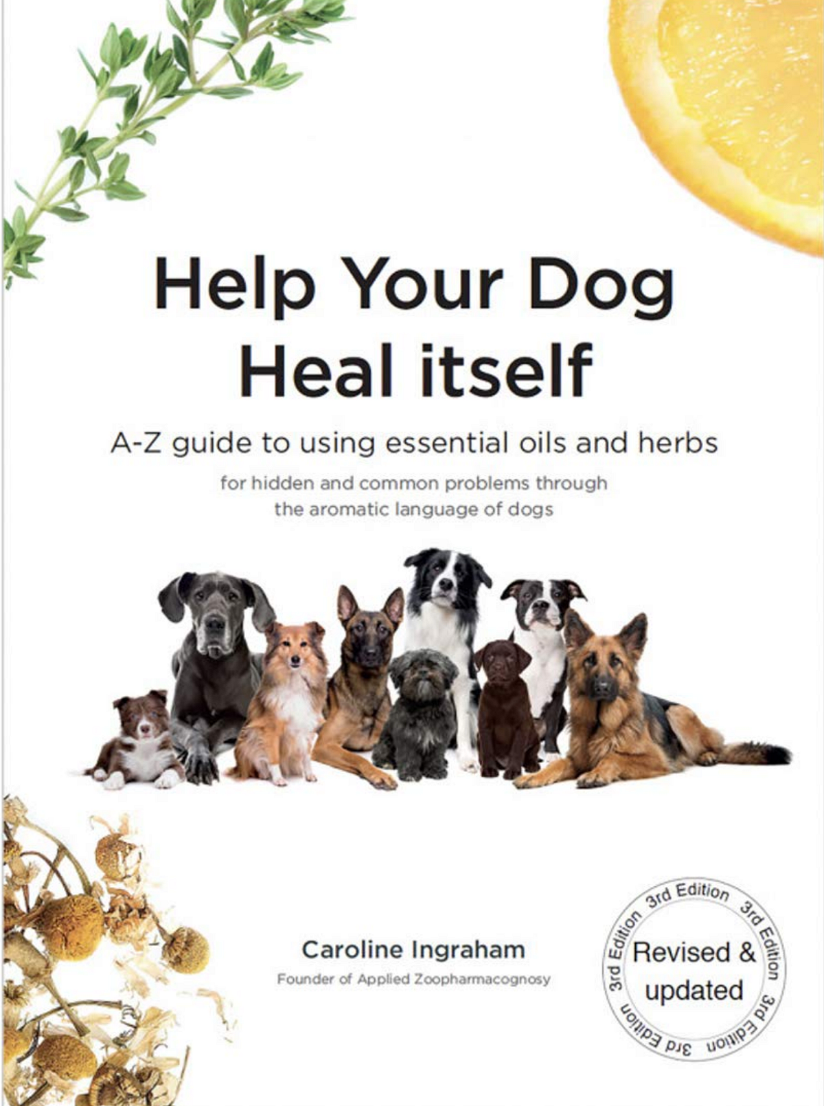 Can Dog Heal Itself? Unveiling Self-Healing Mysteries | by Freeda Mast ...
