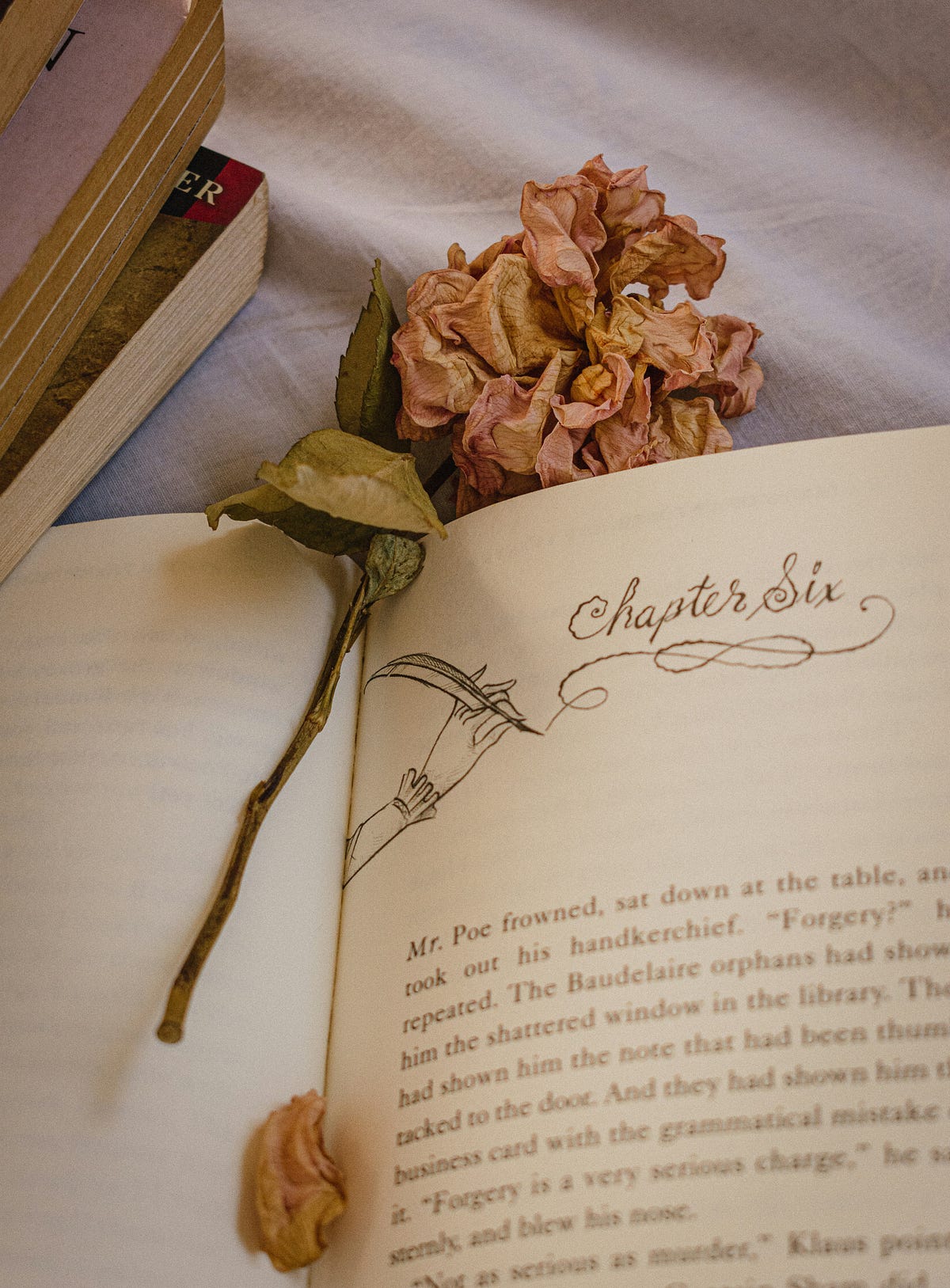 Book Characters With A Pulse. Which fictional characters feel real to ...