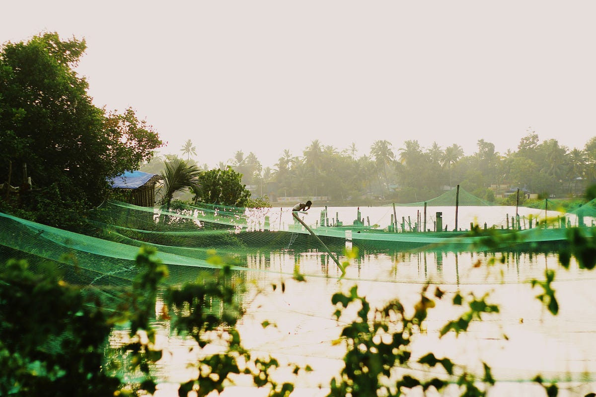 Stork Network: Revolutionizing Fish Farming in Indonesia with ...