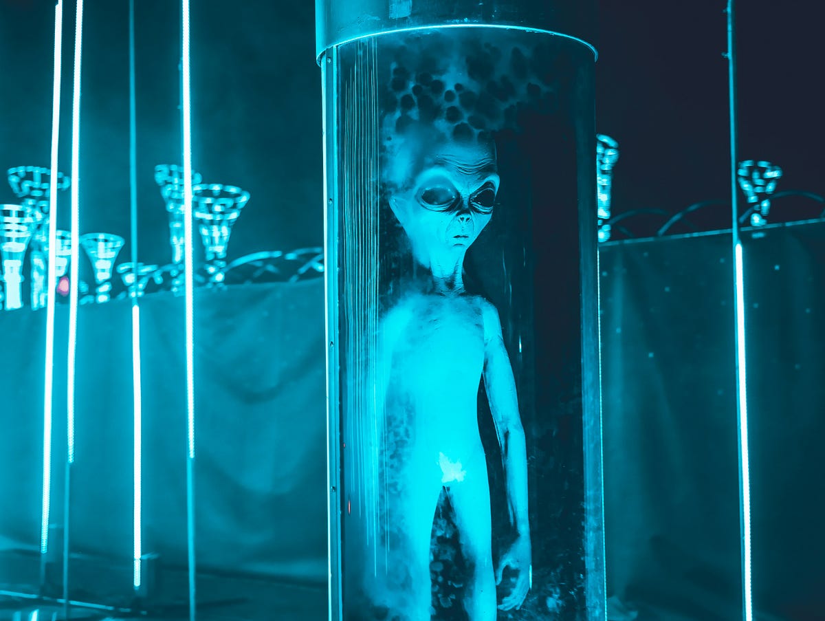 The Biological Trojan Horse: Your Pets Are Alien Nanny-Cams! | by Joel ...