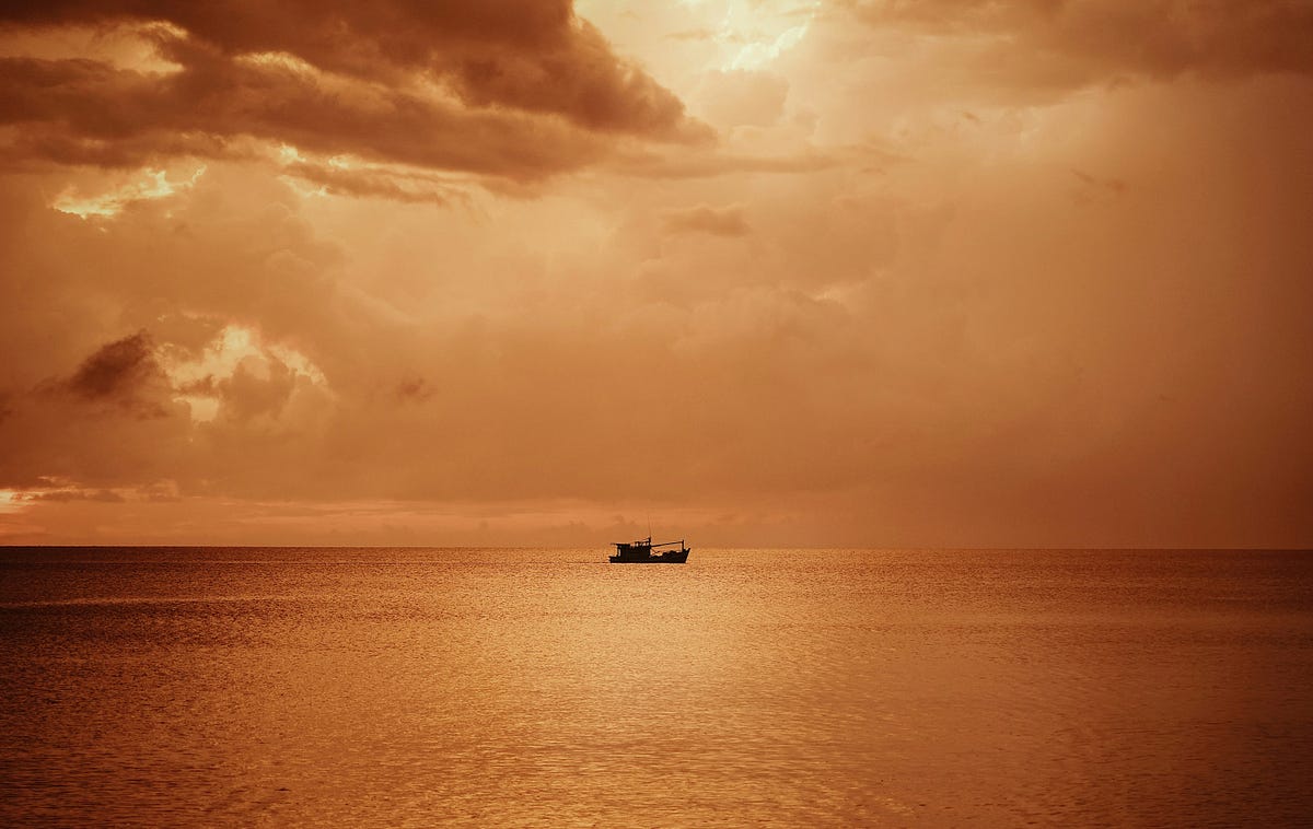 Solid Ground - Olivia Justice - Medium