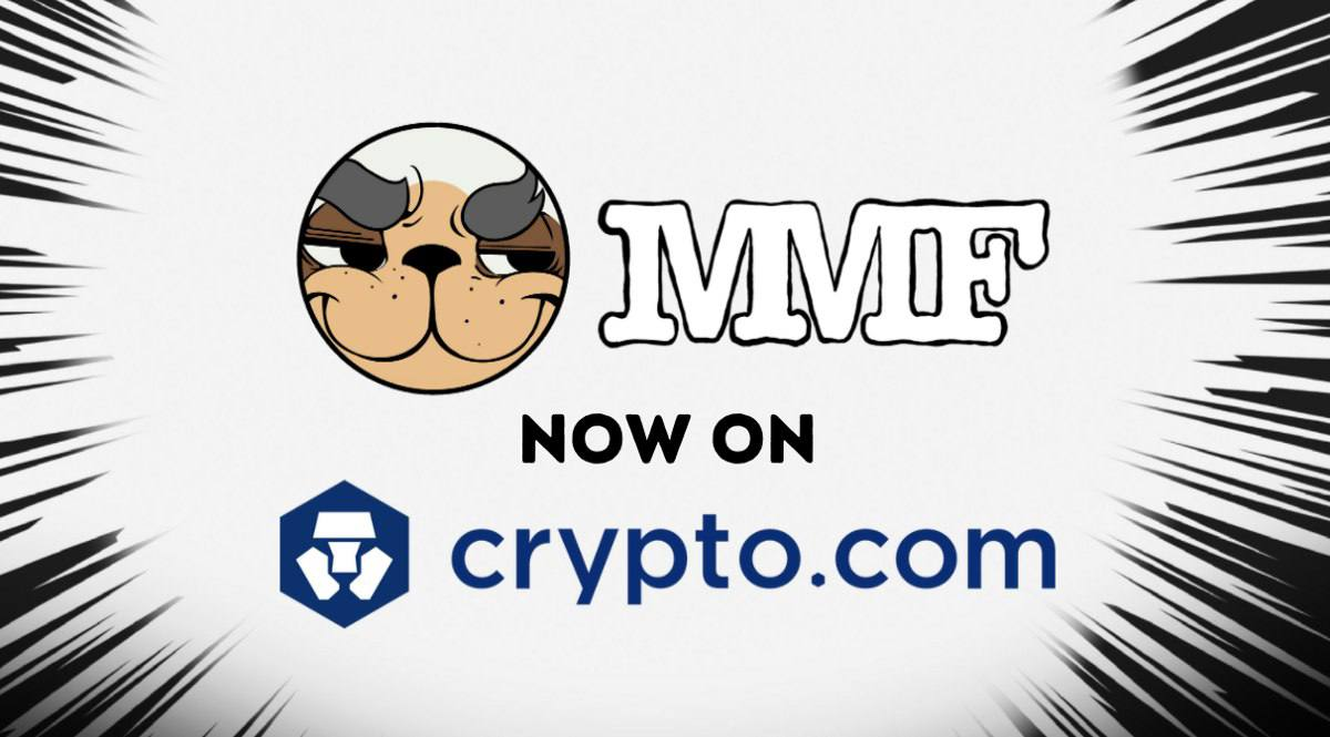 AMA record — MM.Finance. Basic information | by Pegasusdollar Finance ...