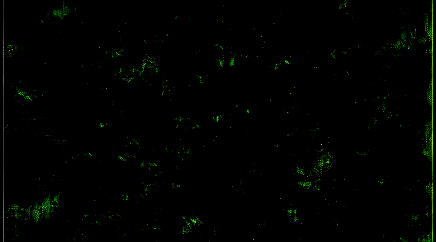 Evil Eye Bracelets | by Valkyrie Rainier | Mar, 2024 | Medium