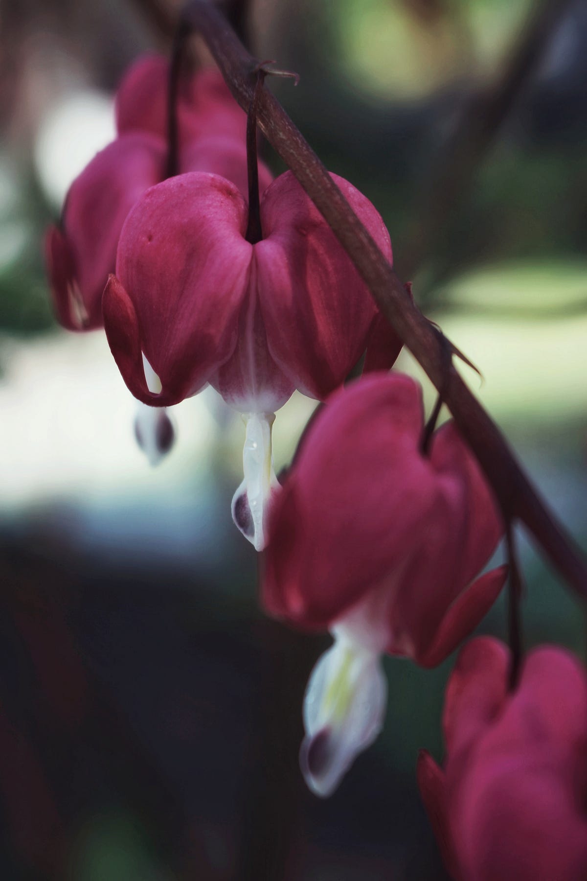 Why She Left. A Poem of Heartbreak and Loss | by Hamza Shafiq | Know ...