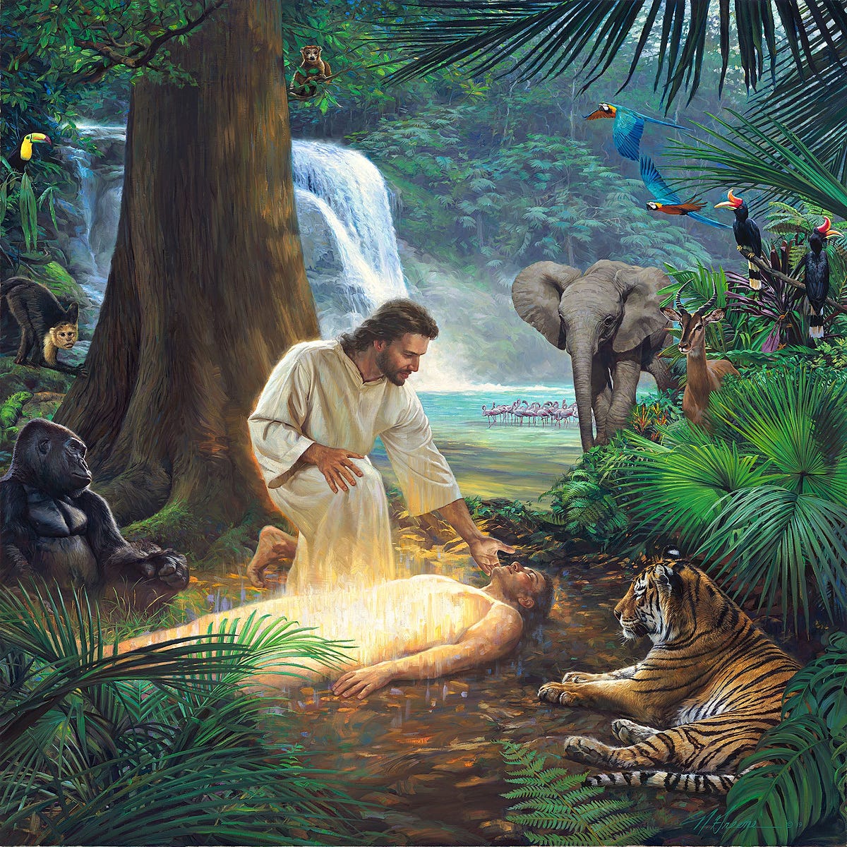 Jesus in Genesis. Gospel of John, presents Jesus as… | by Farshad ...