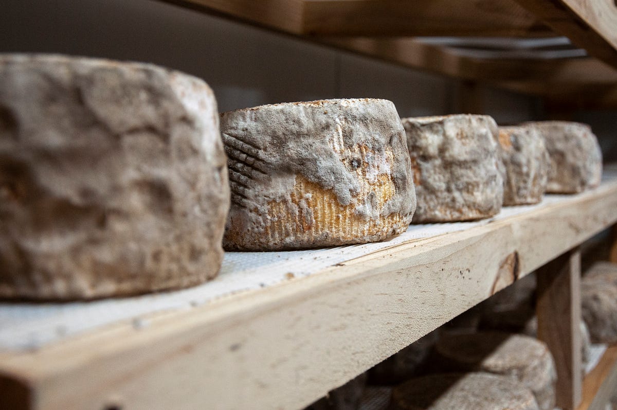 Taleggio Cheese: A Journey Through Tradition, Production, and Culinary ...