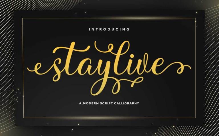 Stay Live Font | by Kaitooon | Sep, 2024 | Medium