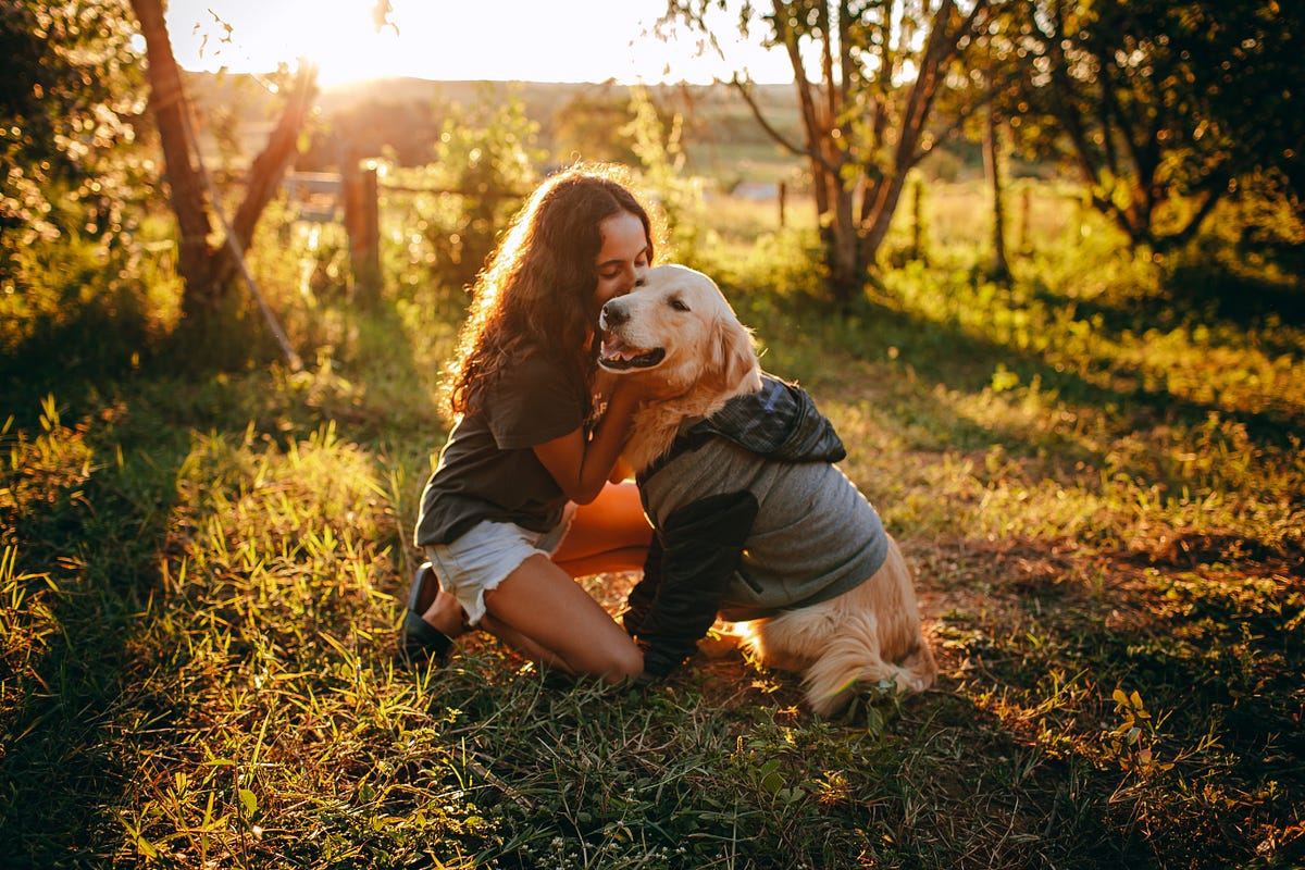 Child Plus Pet — an Expectedly Good Combination | by Ani Vals | Medium