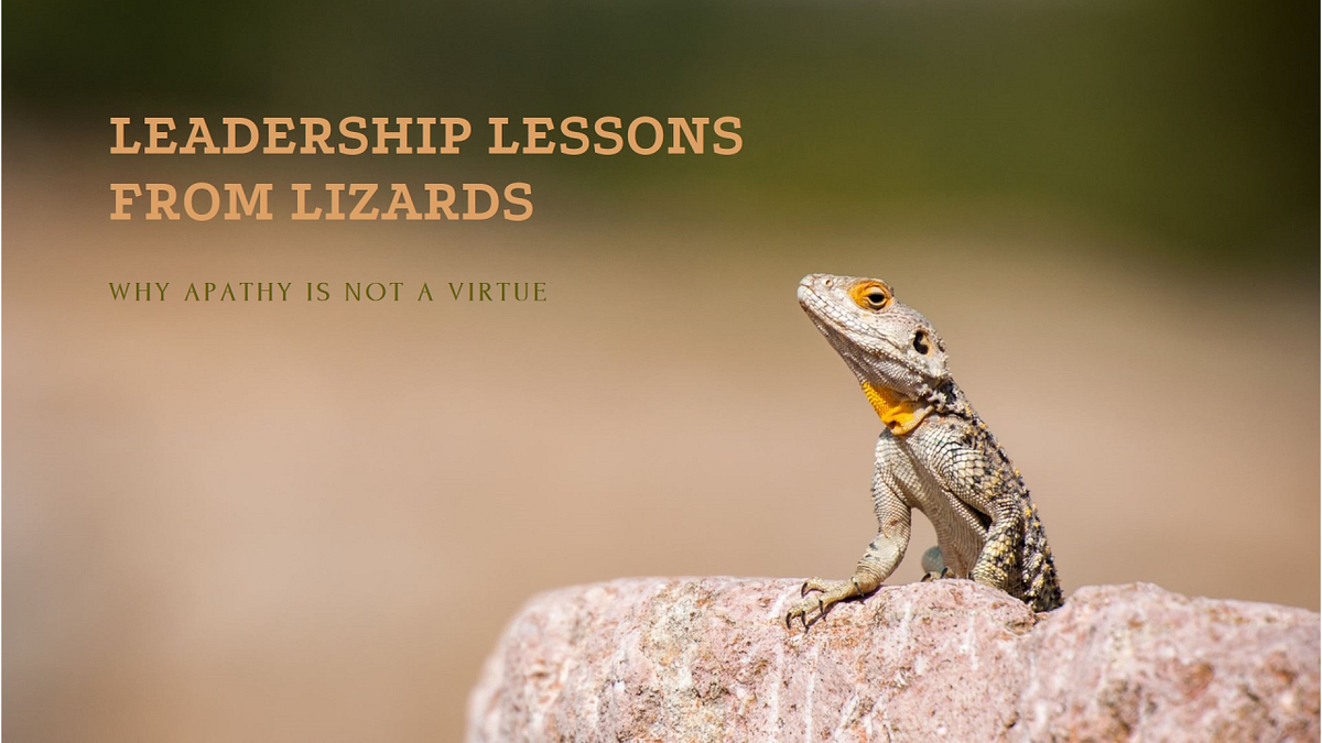 Lizards vs Apathetic Leaders. In the corridors of power, where the ...