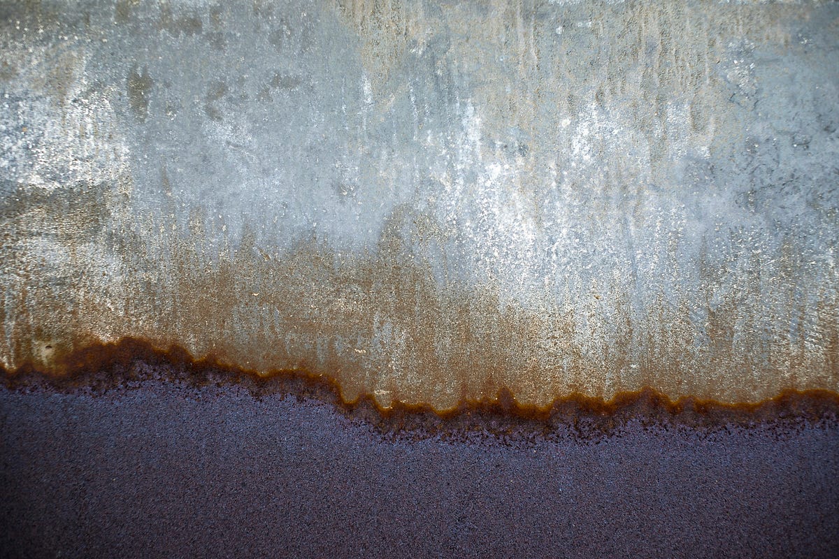 Vulture. A poem | by Janani K | Scrittura | Medium