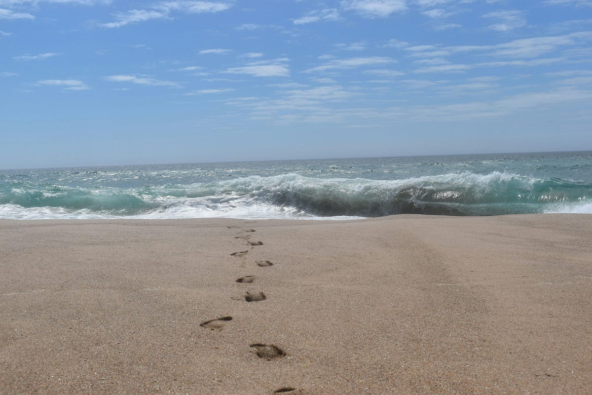 Footprints On The Nourishing Path | by Isabel Chiara | Jul, 2025 | Medium