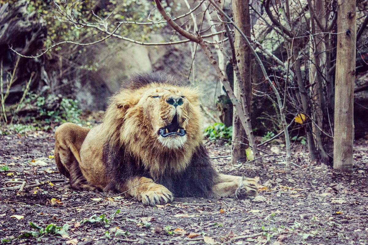 You Don’t Lack Time—You Lack Hunger | by aLuMow | Diary of Stoic | Mar ...