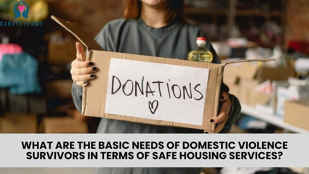What are the basic needs of domestic violence survivors in terms of ...