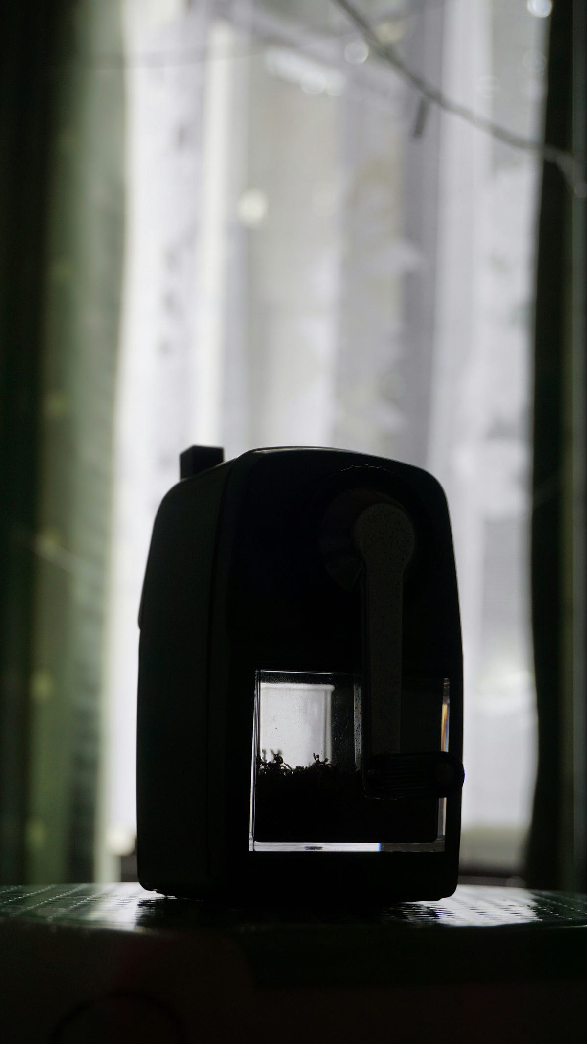 Learning about art who cares: I lost empathy | by Seaa_ | Dec, 2024 ...