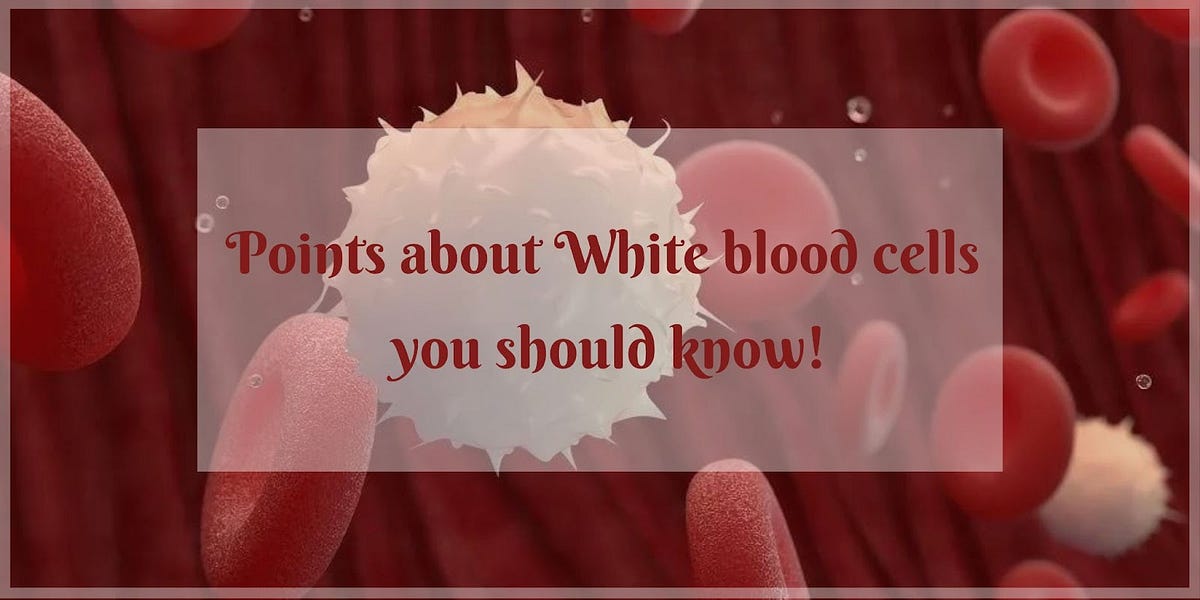 Points about White blood cells you should know! | by Uyir Organic | Dec ...