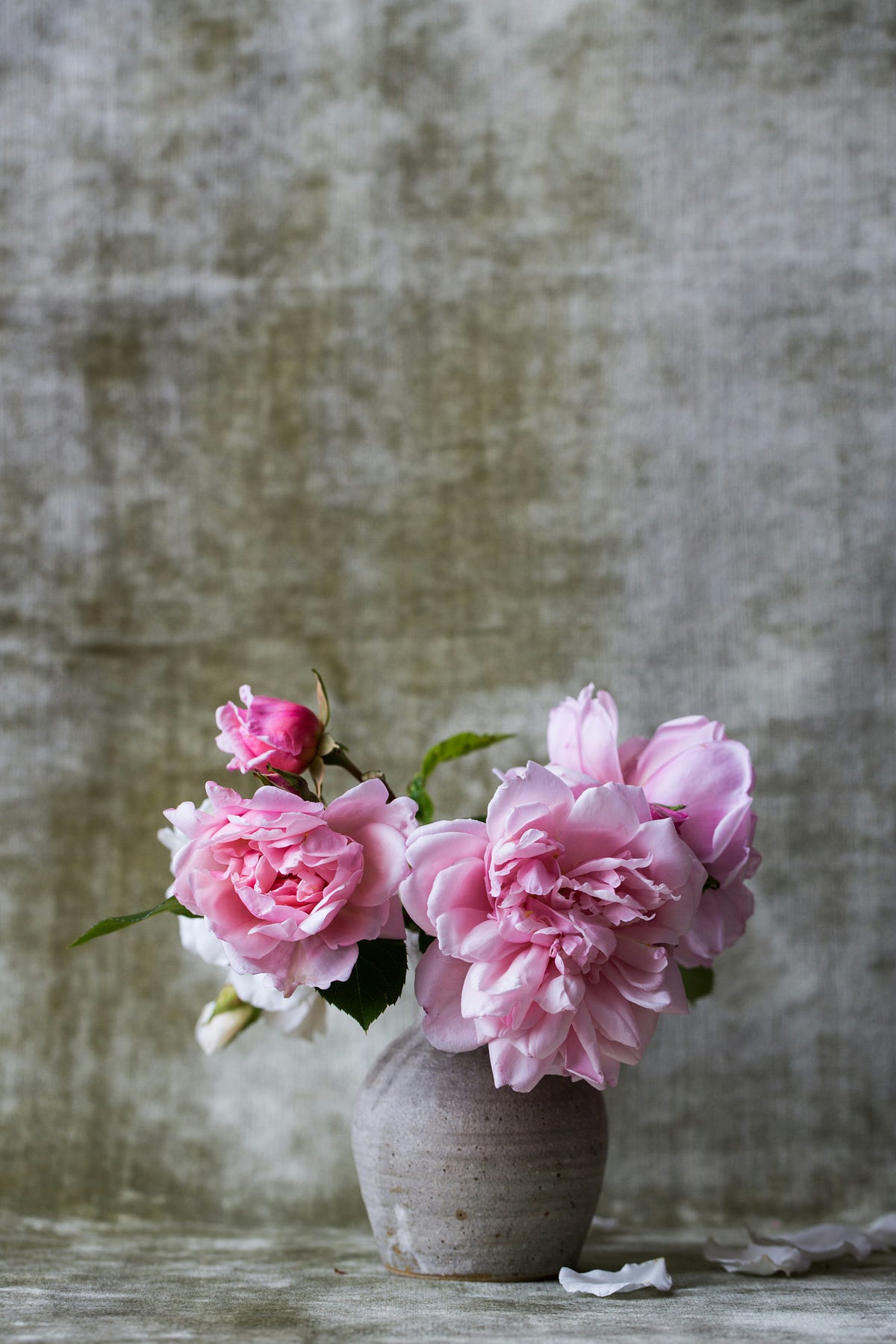 the CREATURE of ROUTINE. MASTERING THE ART OF HABITUAL LIVING | by ...