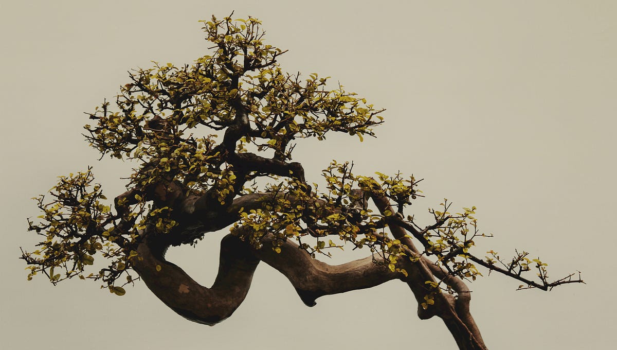 The Nature of a Soul. 𝐚 𝐩𝐨𝐞𝐦 — “I recall the wind, the… | by Diana ...