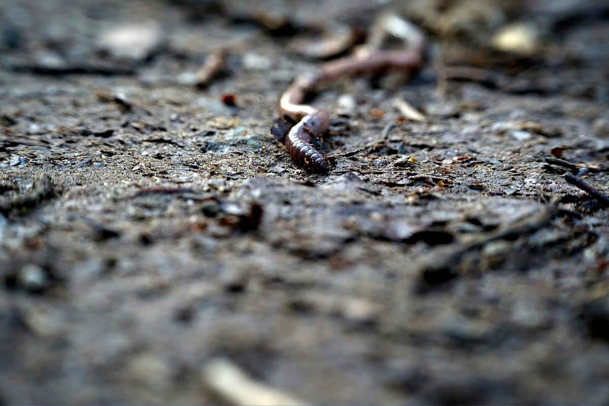 How Narcissists Try To Worm Their Way Back Into Your Life | by Just ...