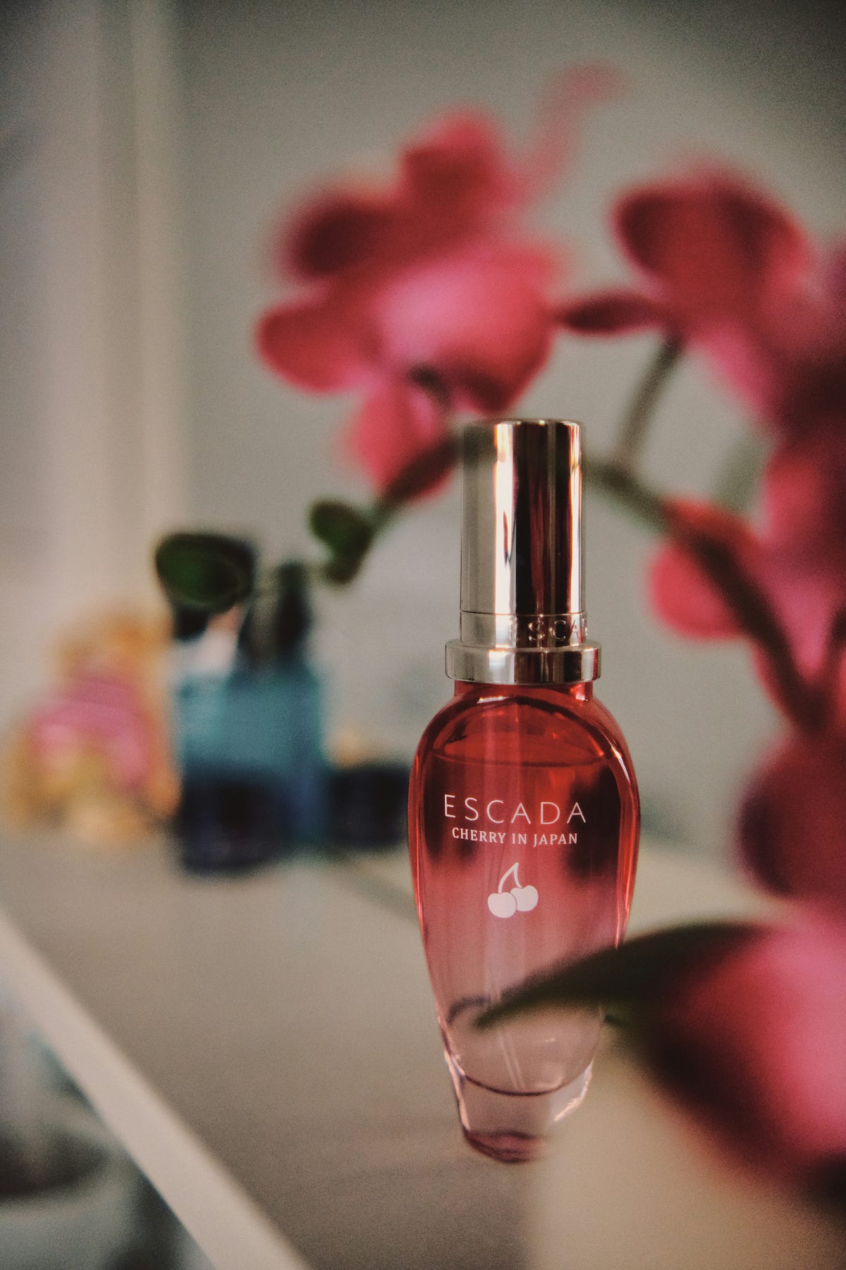 The Most Popular Perfumes for Women | by Bridget Ascheberg | Mar, 2024 ...