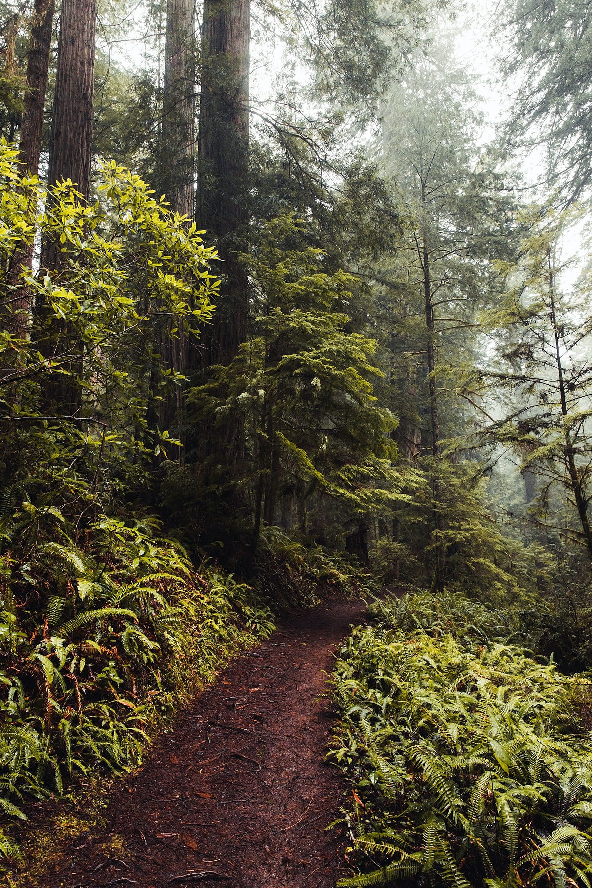 HARNESSING THE POWER OF OUR PHYSICAL ENVIRONMENT FOR A SUSTAINABLE FUTURE | by Olanipekun ...