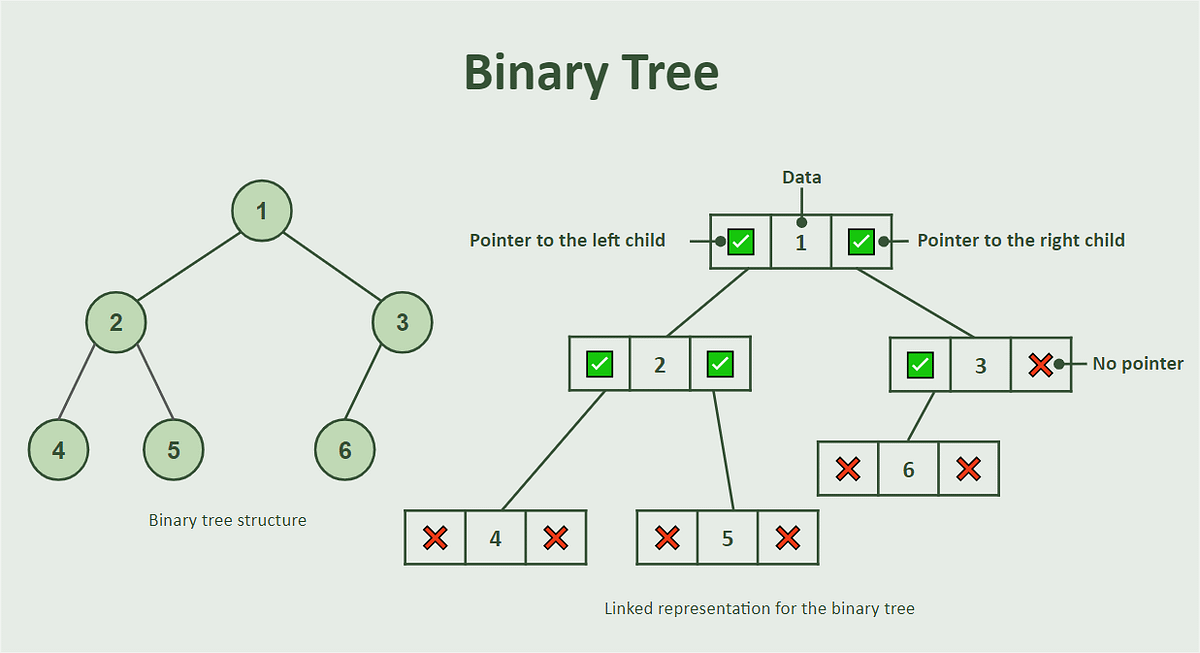 Trees in Data Structures — From Binary Trees to Advanced Variants | by ...
