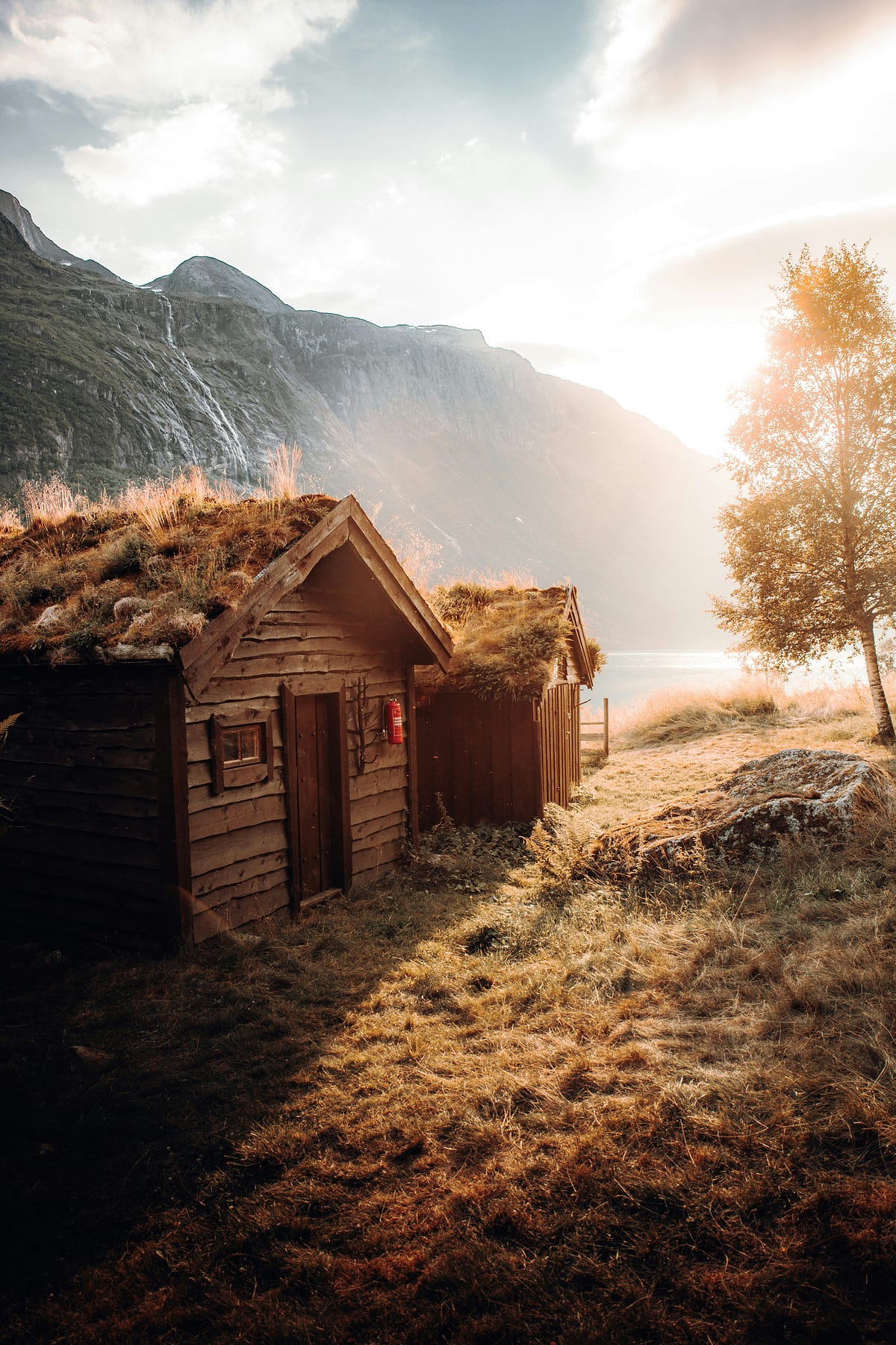 Home. A place to be alive. | by Rahul Kabeer | Long. Sweet. Valuable.