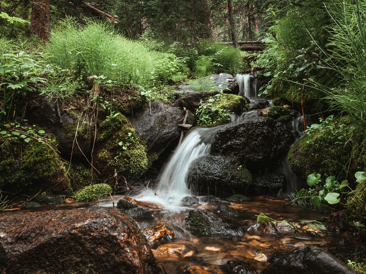 Following the flow of a Java Stream | Medium