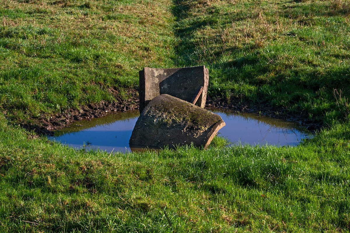 The Coyote Well. A Lifesaving Survival Technique in Dry… | by Alex ...